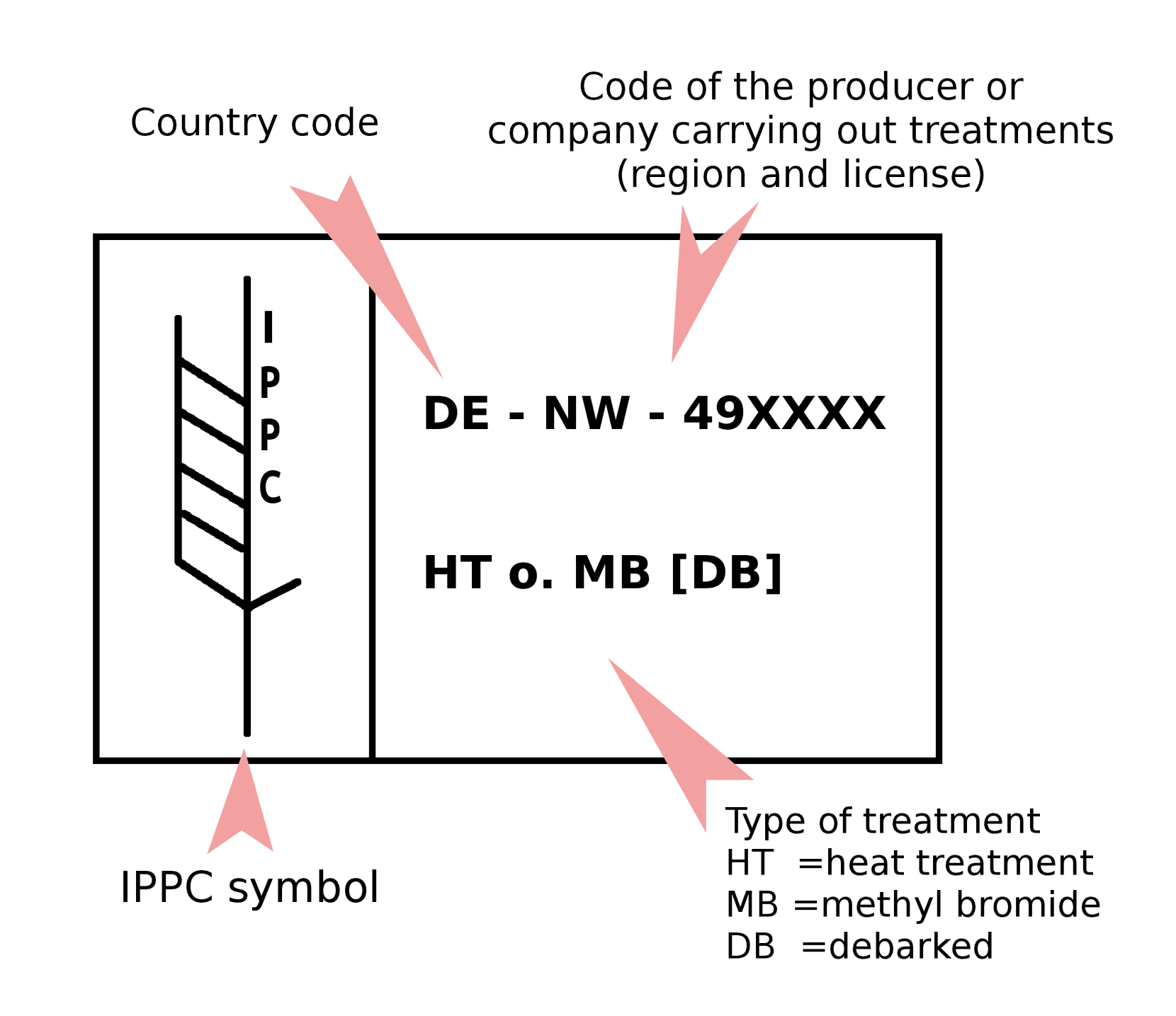 Euro Pallets: sizes, weights, and certifications required