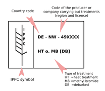 Euro Pallets: sizes, weights, and certifications required